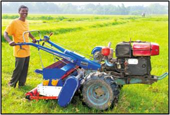 Cereal Systems Initiative for South Asia (CSISA) » Innovative Farm ...