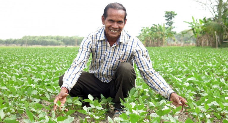 Cereal Systems Initiative for South Asia (CSISA) » Transforming Fallows ...